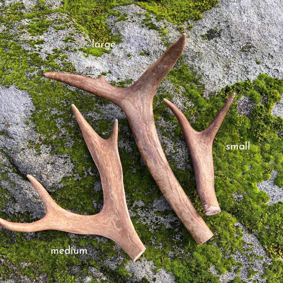 KEROTUGG renhorn medium Hundigt